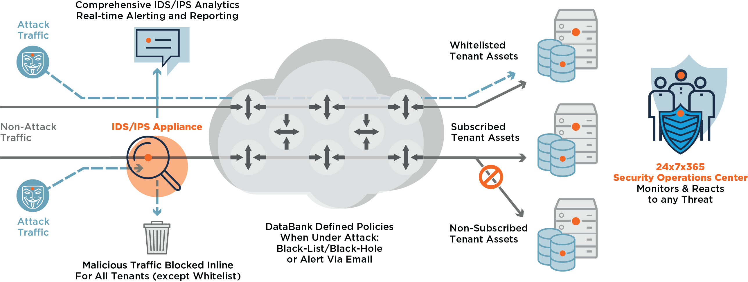 Manged IDS/IPS - DataBank | Data Center Evolved