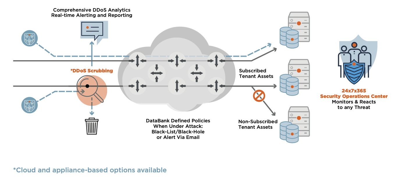 DDoS Mitigation Services for Uninterrupted Business Continuity | Databank