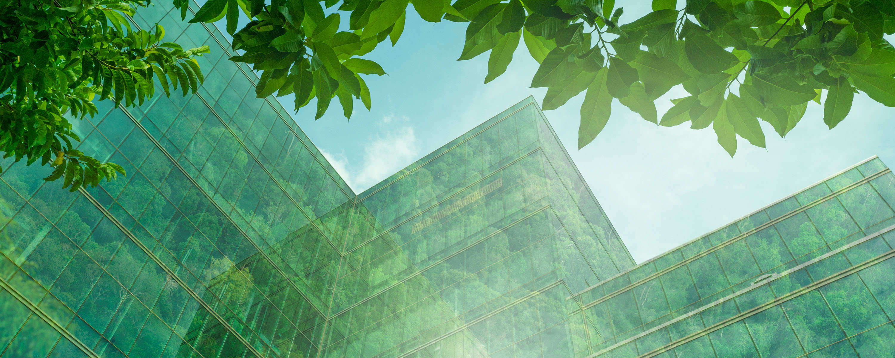 Environment | Data Center Evolved