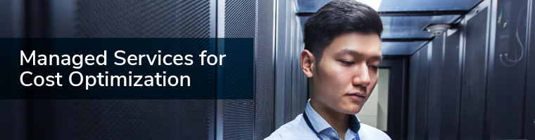 Managed Services for Cost Optimization: Maximizing ROI and Budget ...